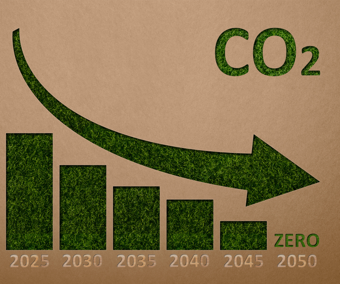 Net Zero Transition An Inconvenient Truth About Divestment